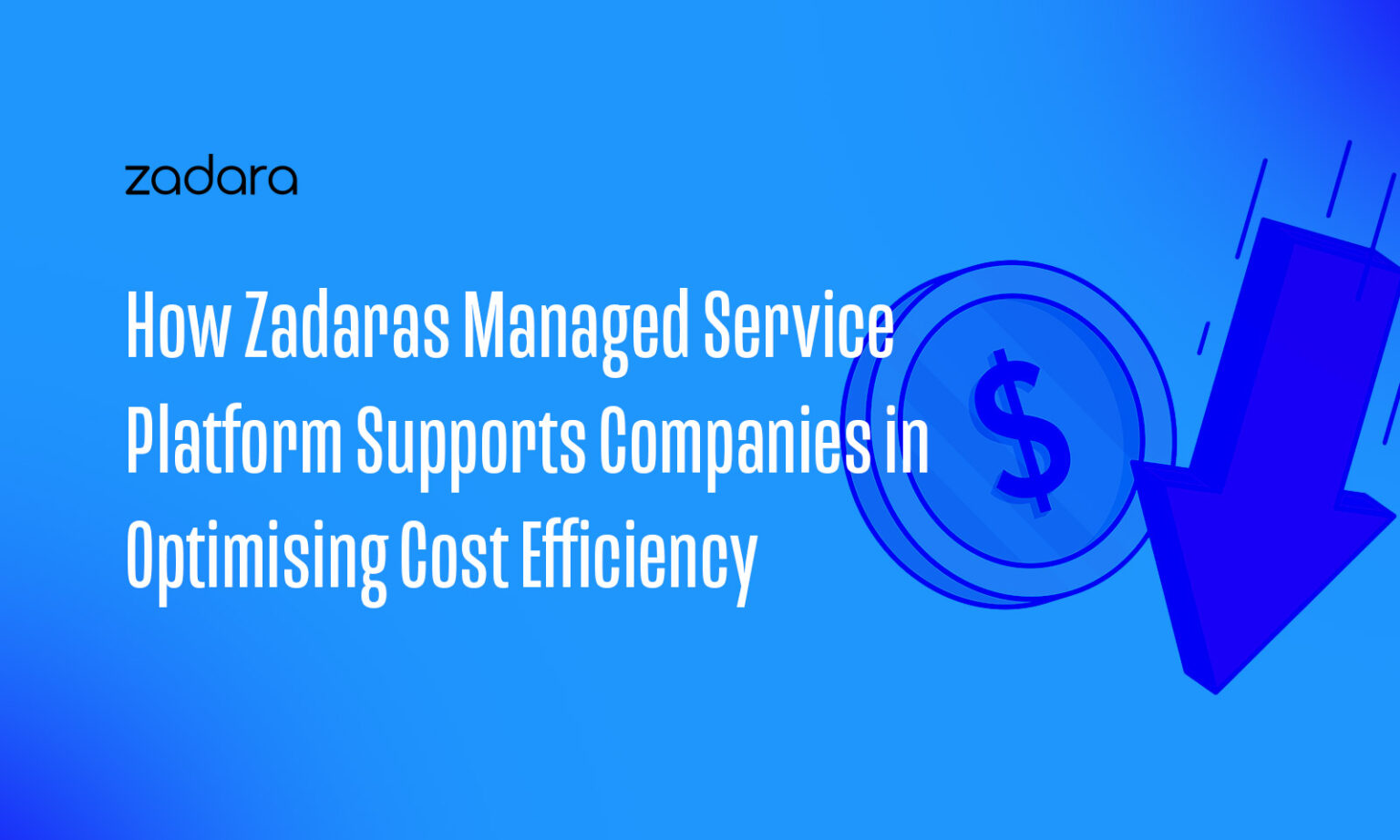 How Zadara's Managed Service Platform Supports Companies in Optimising Cost Efficiency - Zadara